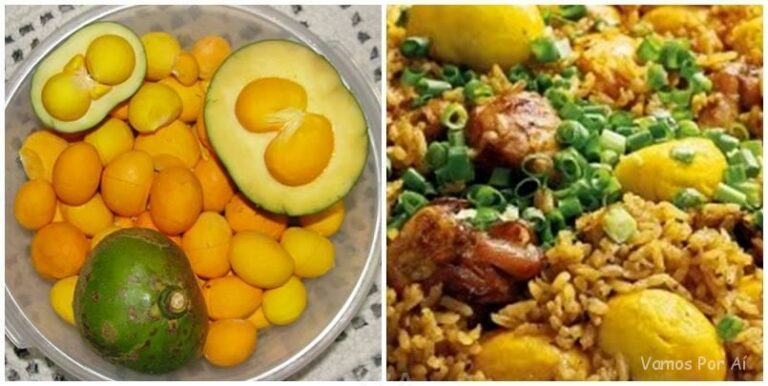 Tudo o que Você Precisa Saber Sobre a Culinária Goiana