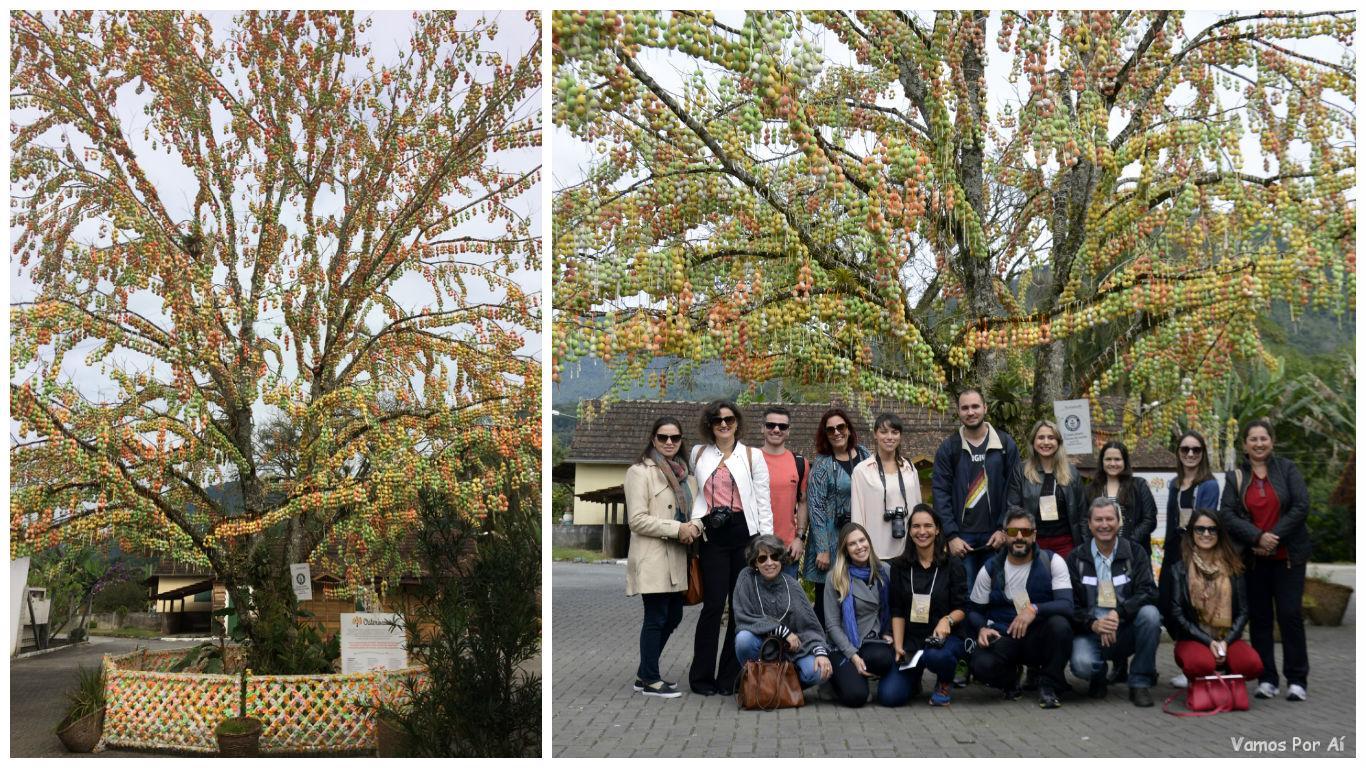 O Que Fazer em Pomerode: a cidade mais alemã do Brasil